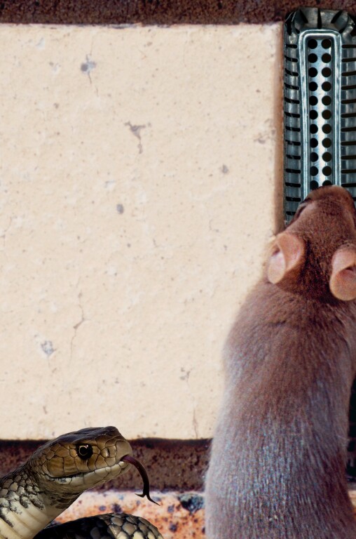 Protect your home from Bushfire and Pests | Weepa Products Pty Ltd