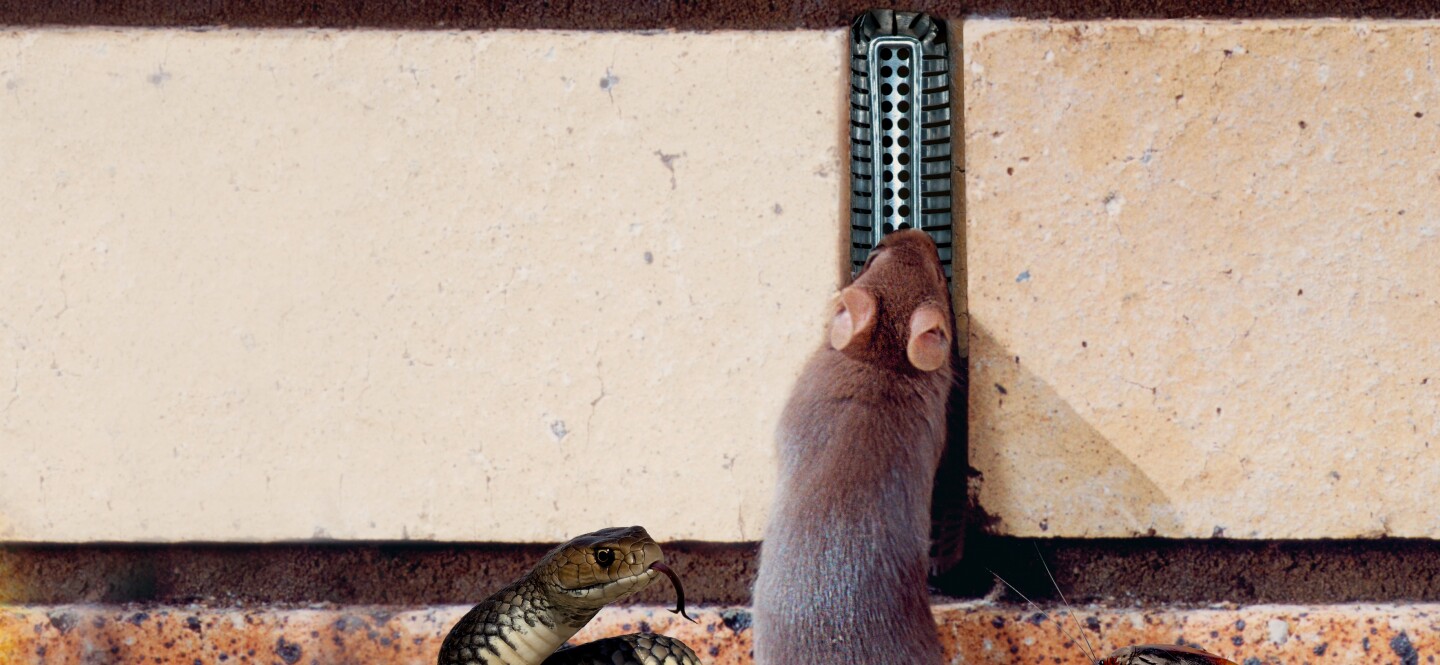 Protect your home from Bushfire and Pests | Weepa Products Pty Ltd