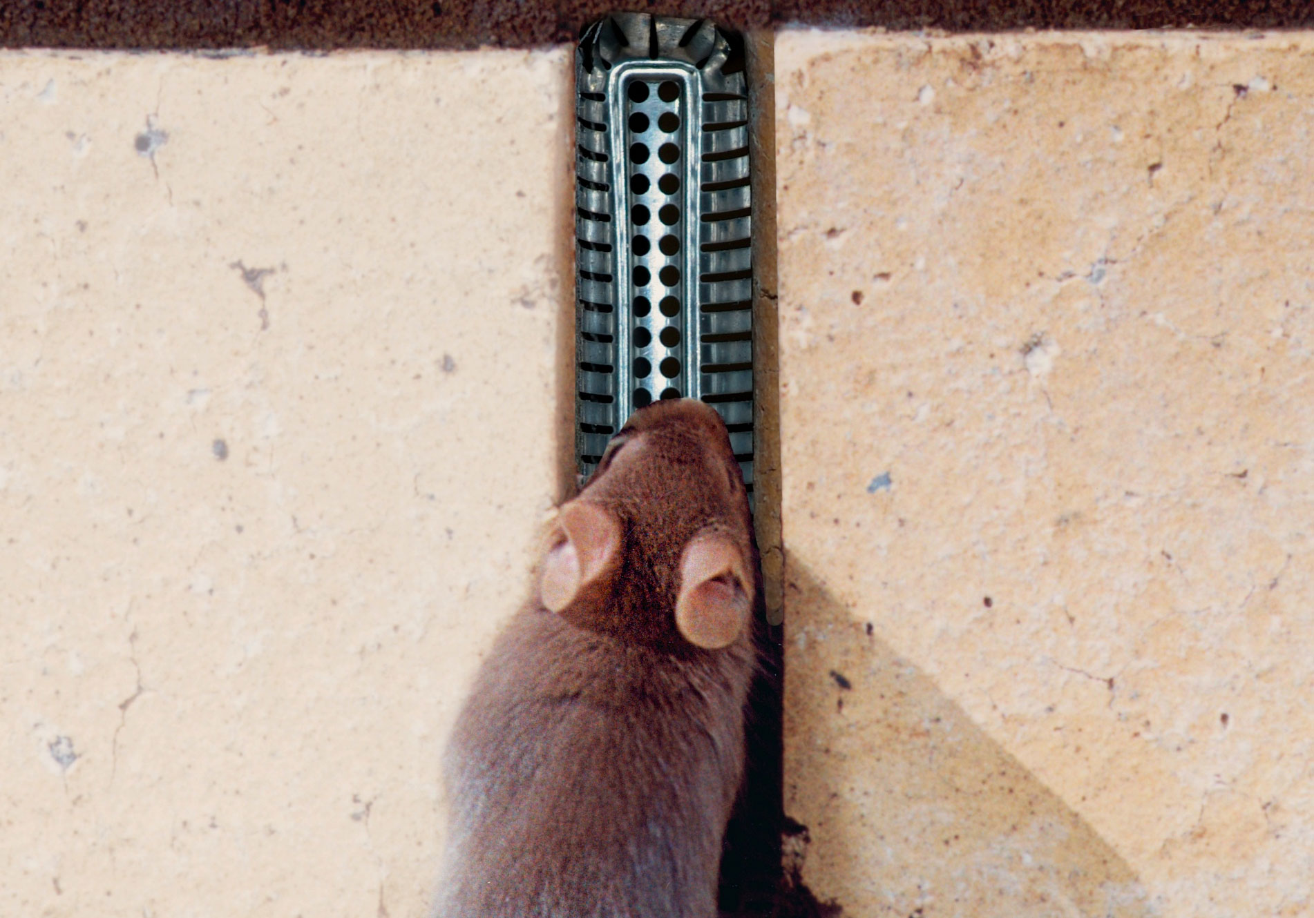 Home » Weepa Products Pty Ltd